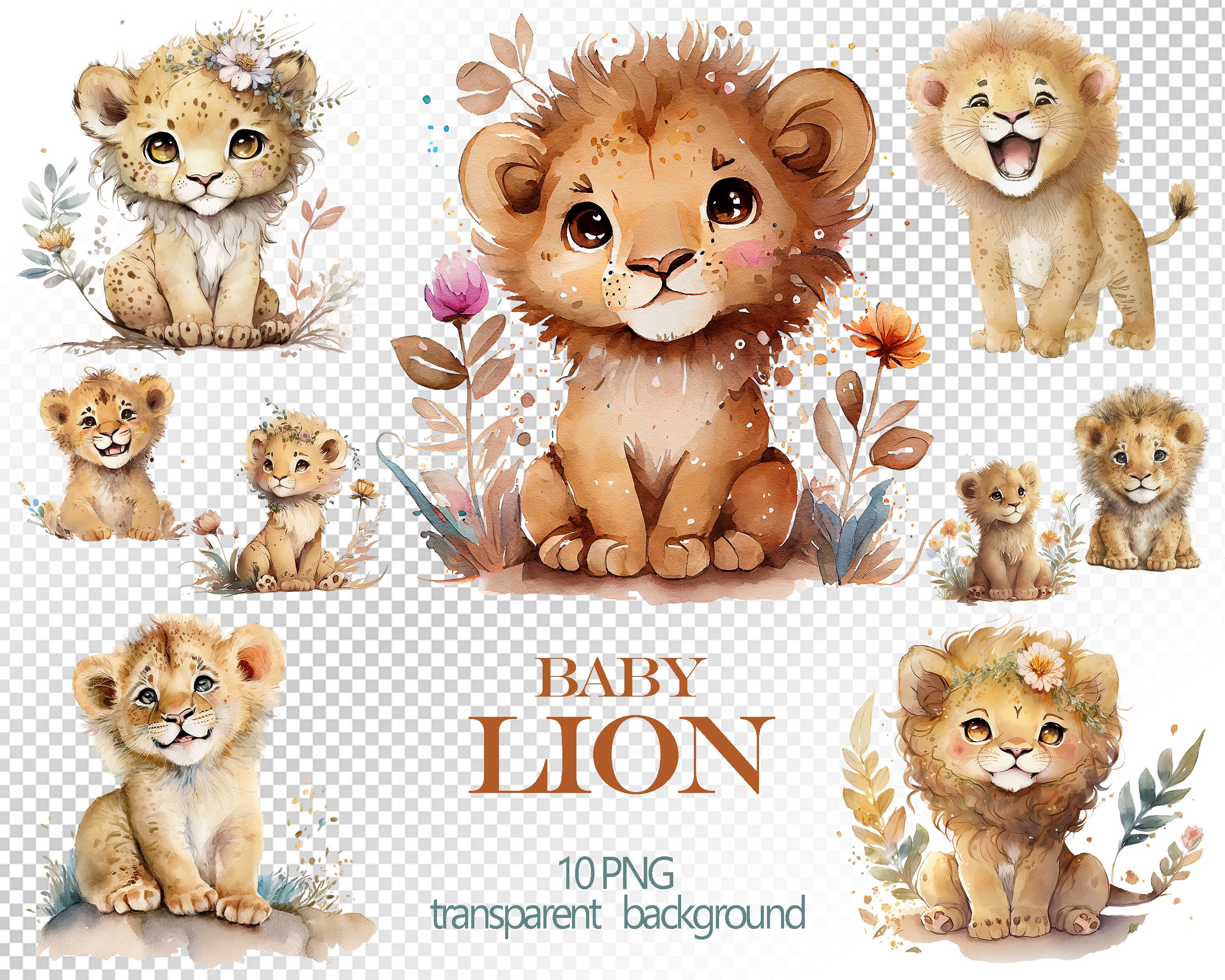 Baby Lion Animals Clipart