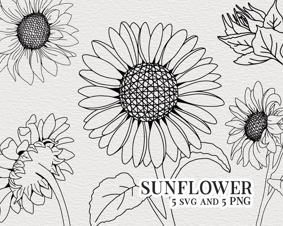 Sunflower SVG and PNG Set for Sublimation and Cutting. Sunflower ...
