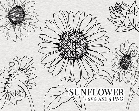 Sunflower SVG and PNG Set for Sublimation and Cutting. | Etsy