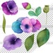 Colorful Floral Clipart Set: Flowers, Leaves. Digital Summer Flowers ...