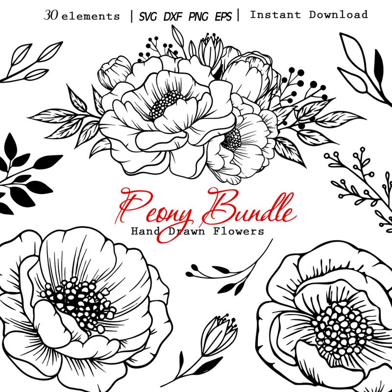 Mountain Peony Tree - Etsy