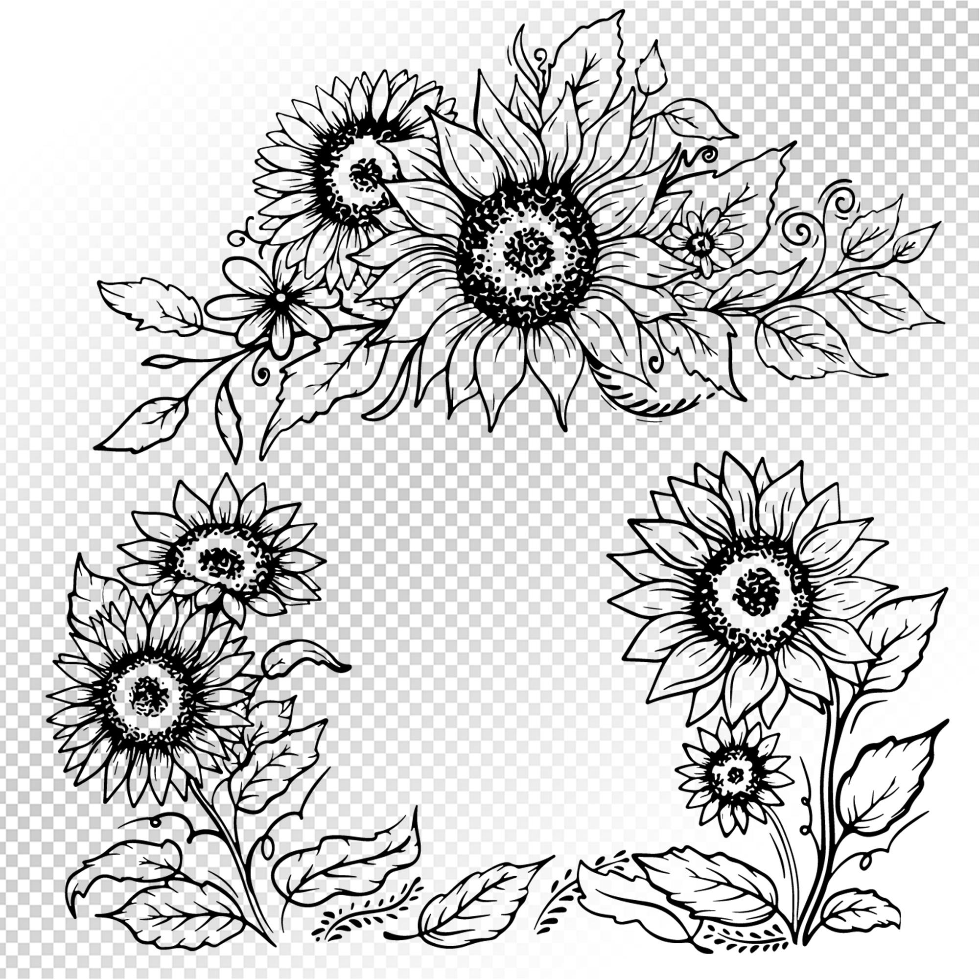 Sunflower Frames Clipart - Floral Wreaths & Borders (svg Png Jpg Eps ...