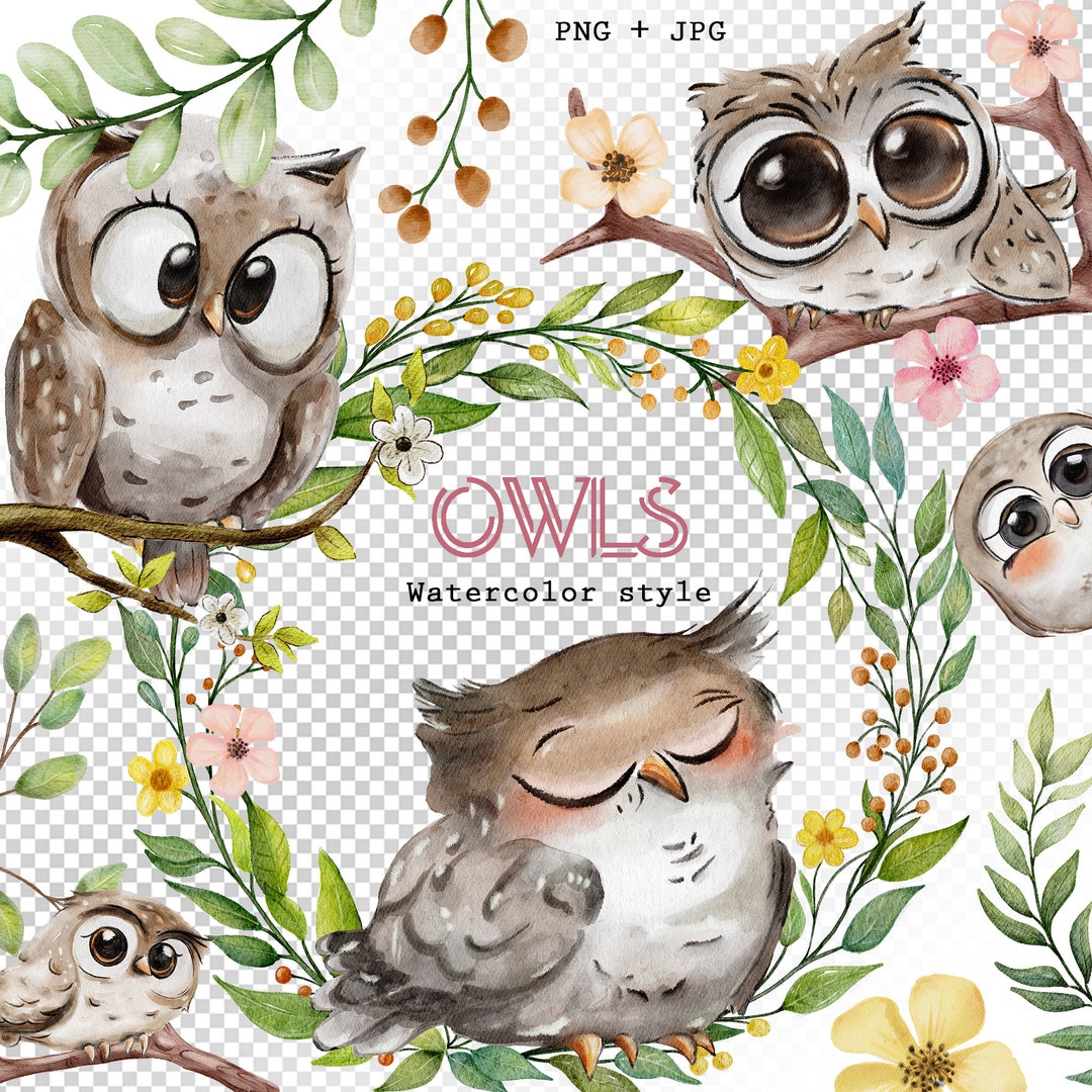 Cute Owl and Flowers Set, Owl Watercolor Clipart,birds PNG Woodland ...