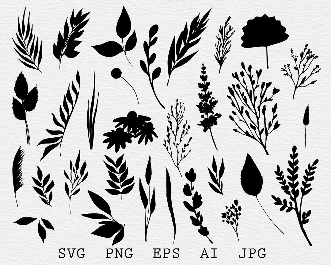 Leaves Bundle SVG 2, Branch Svg Files for Cricut, Leaf Svg, Nature ...