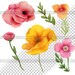 Colorful Floral Clipart Set: Flowers, Leaves. Digital Summer Flowers ...
