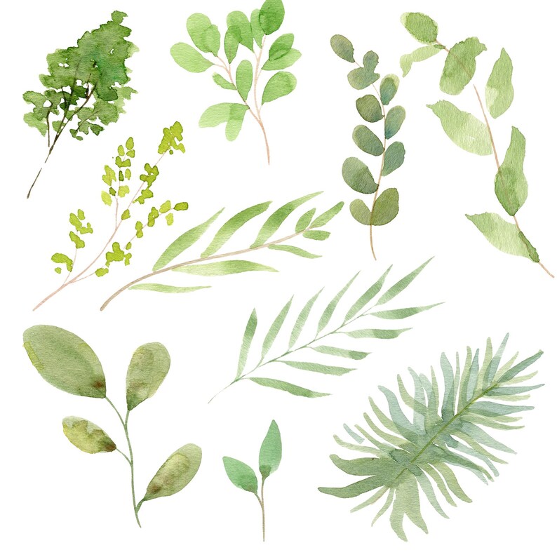 Watercolor Wooden Signs Clipart Bundle – Rustic Wood Slices, Hanging ...