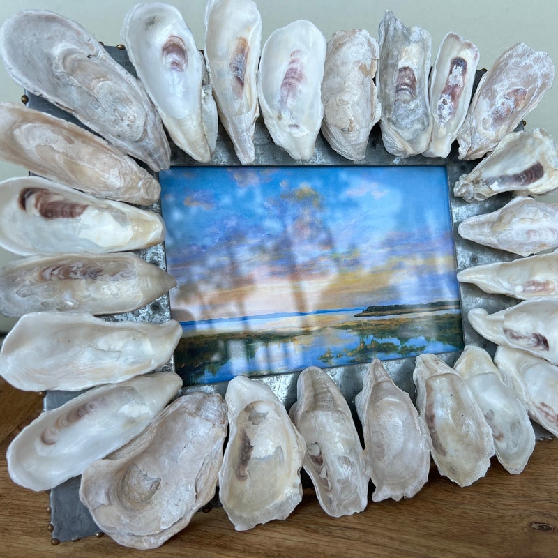 Shell Frame - Etsy