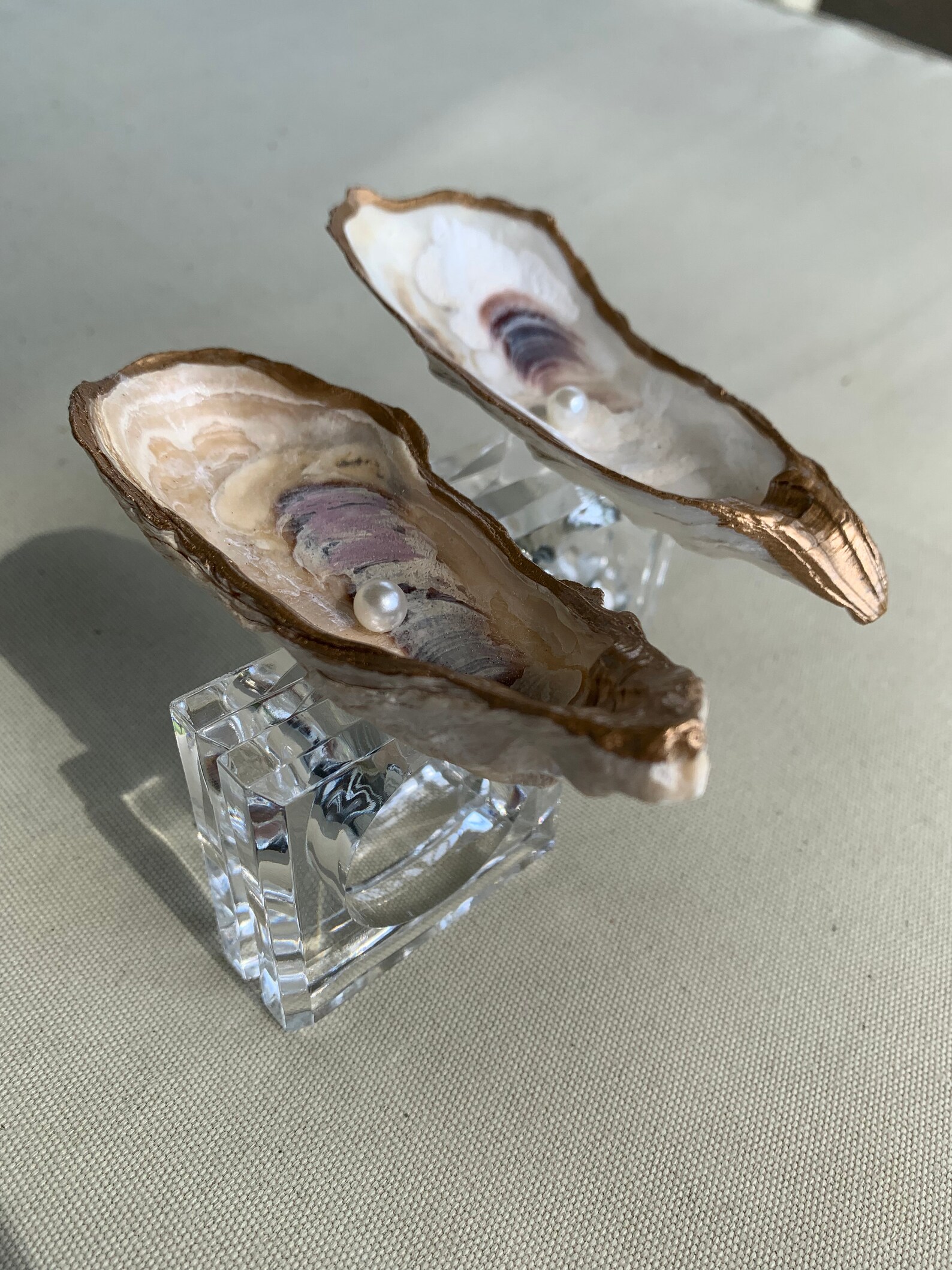 Oyster Shell Napkin Holders / Clam Shell Napkin Holder / Set - Etsy