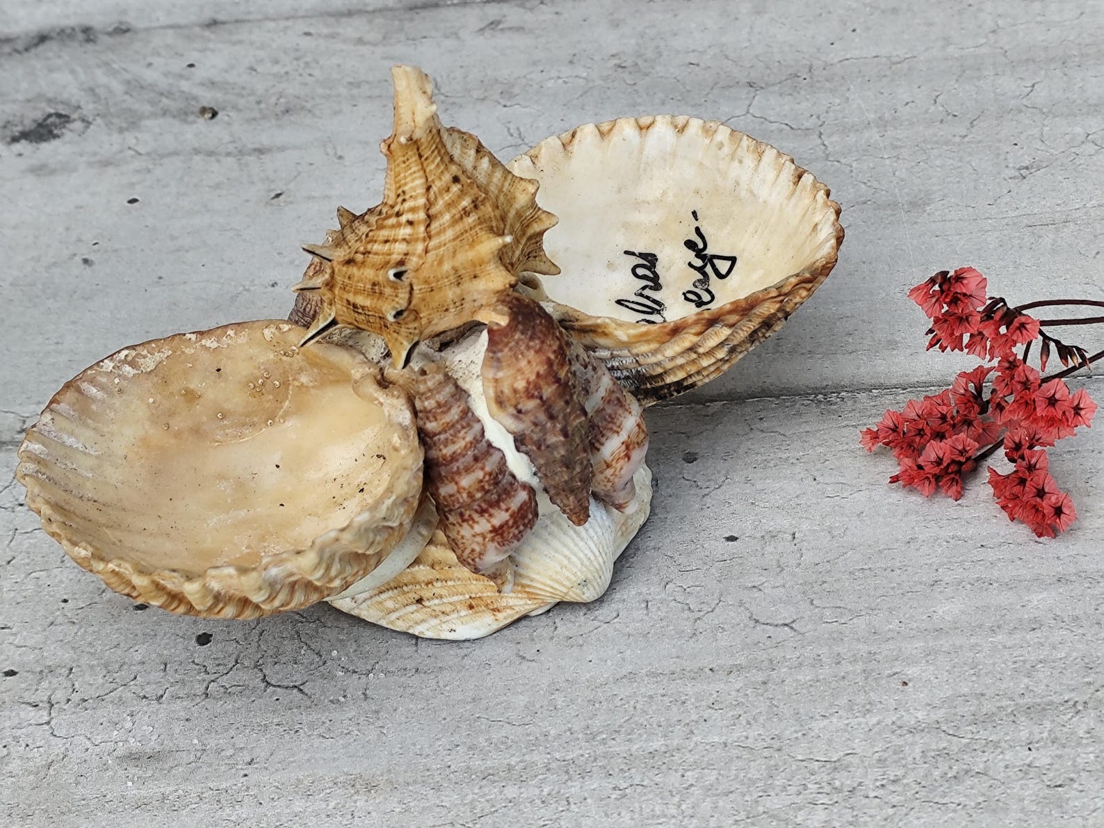 Vintage Shell Salt and Pepper - Etsy