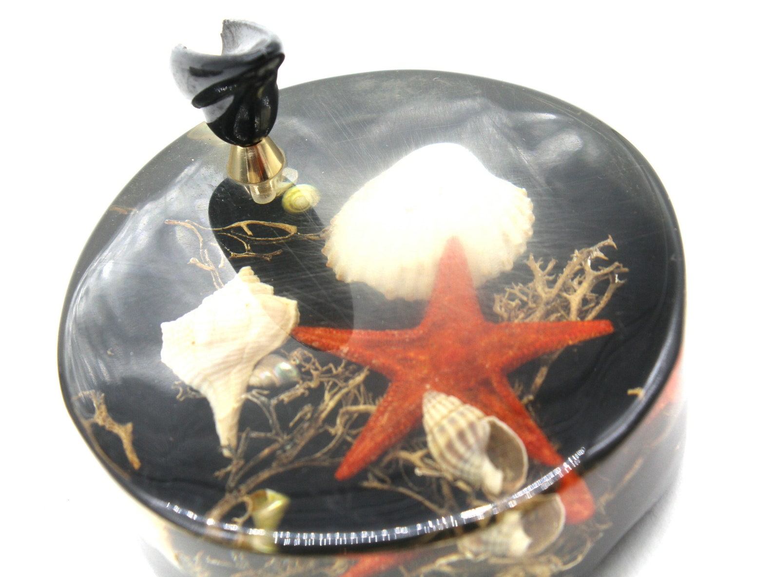 Shell Pencil Holder - Etsy