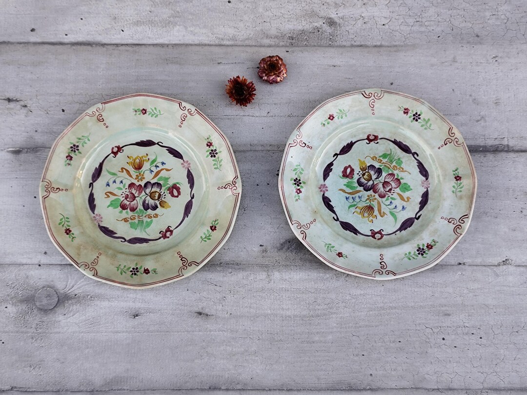 Rare Set of 2 Calyx Ware Hand Painted Adams England Plates - Etsy