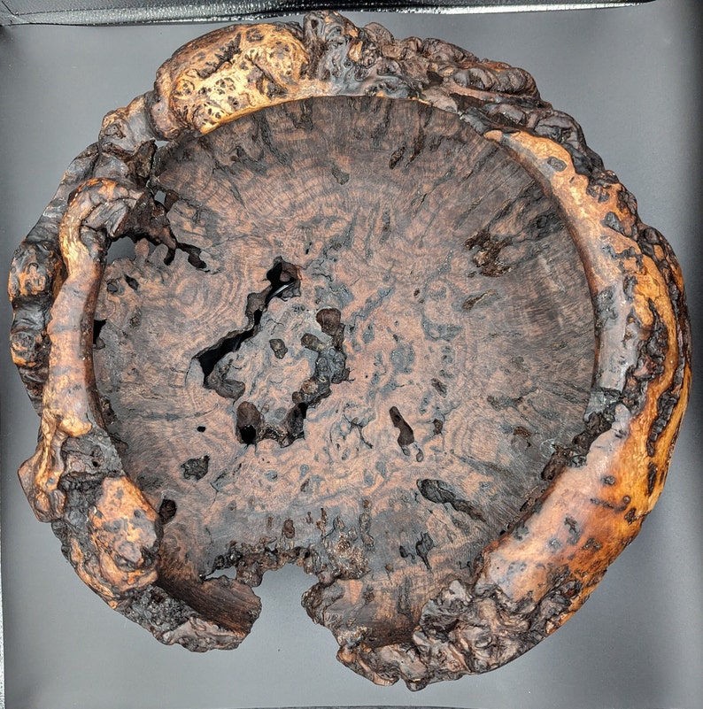 Giant Walnut Burl Bowl - Etsy