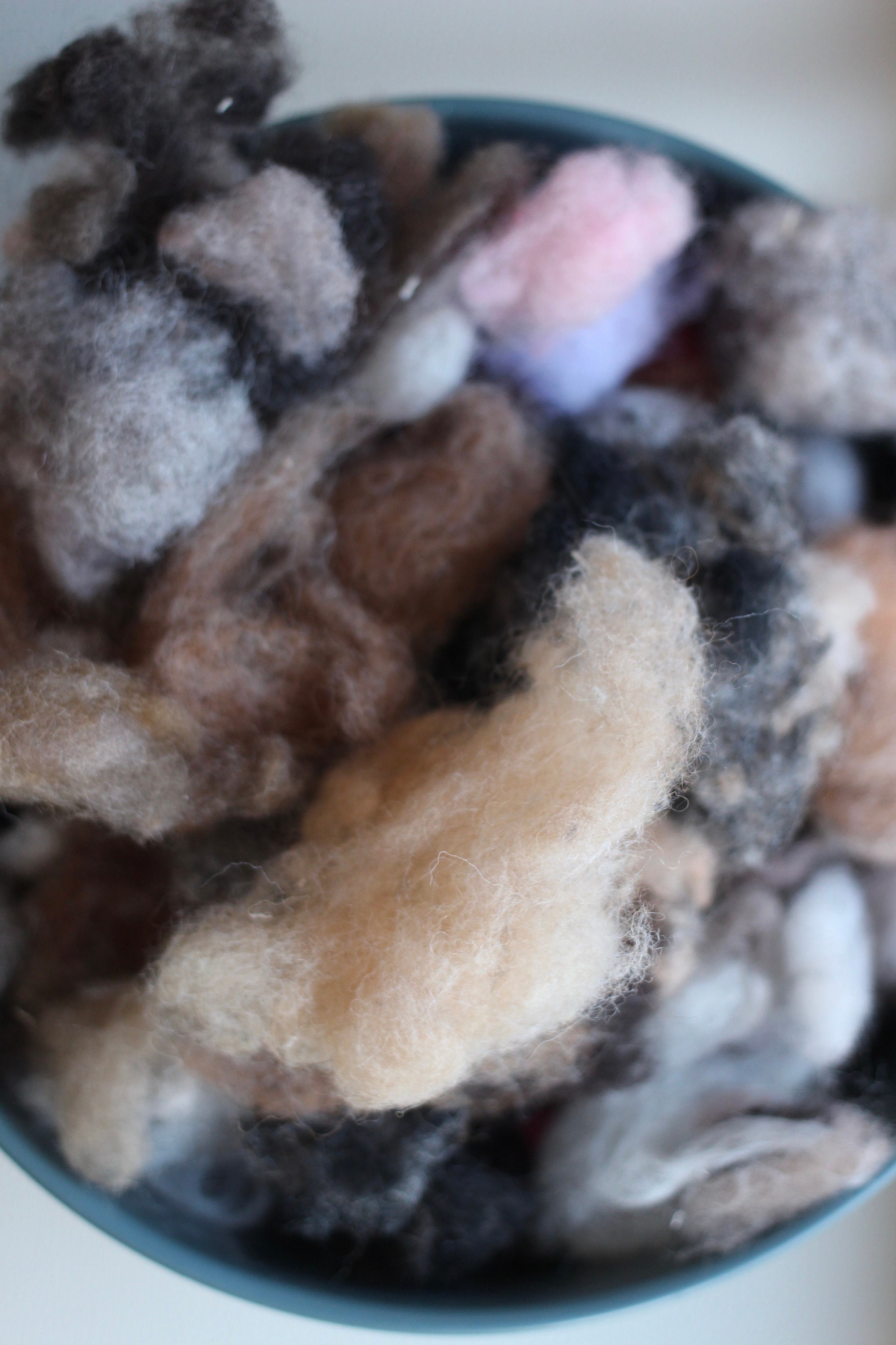 Wooly Waste Wool, Wool Scraps, Pet Coloured Wool, Felting Wool 70g - Etsy
