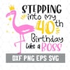 Funny 40th Birthday 40 Years Svg Birthday 40 PNG Digital Download ...