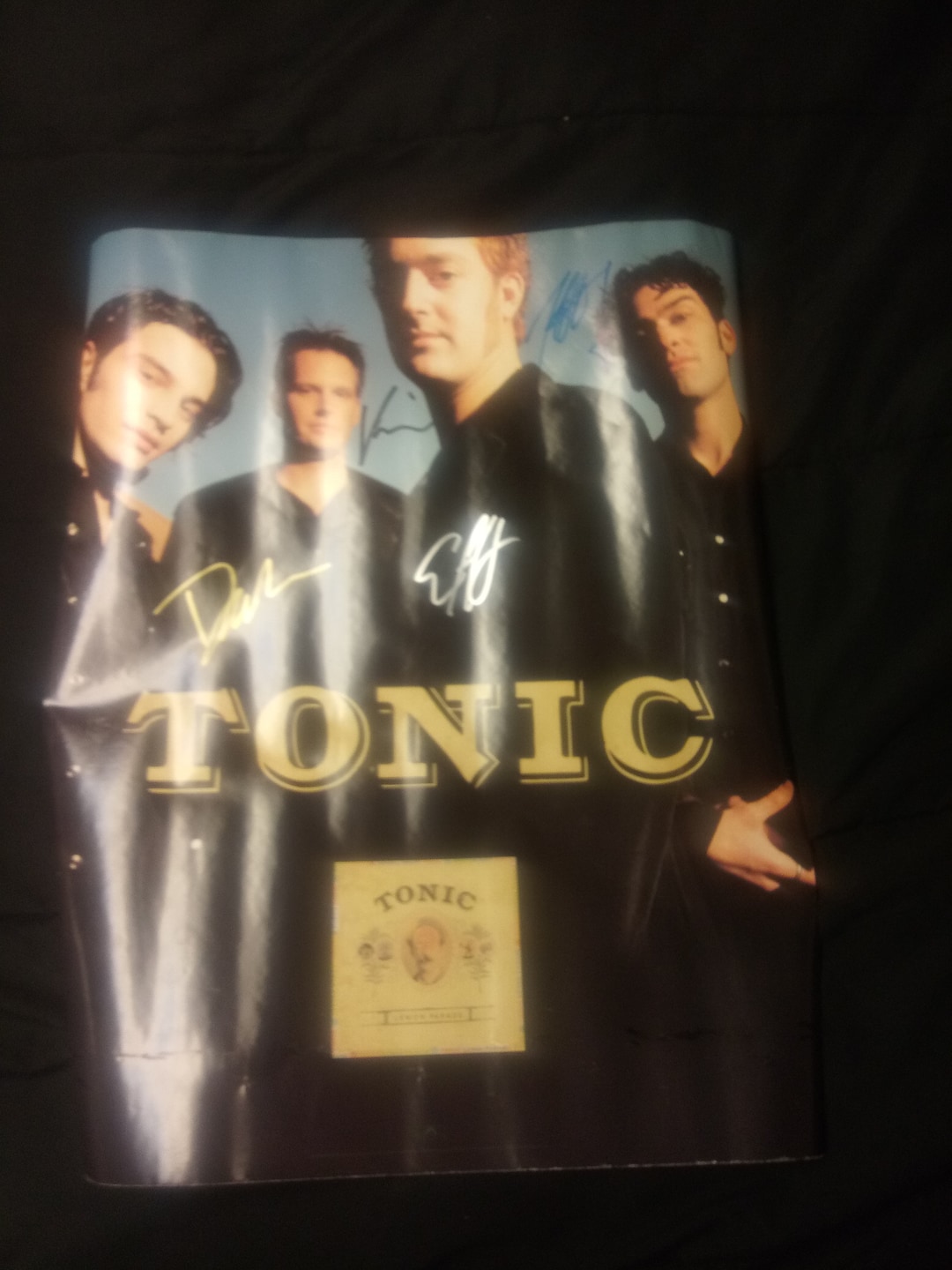 Tonic Band 22" * 18" Poster Signed by 4 Artists - Etsy