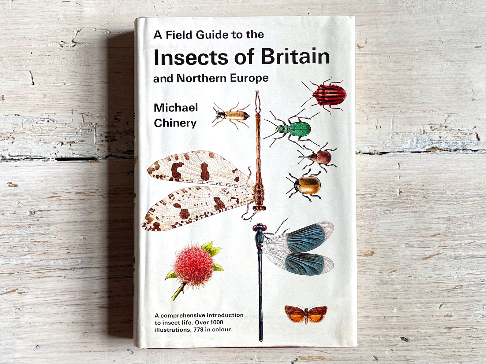 Field Guide to Insects. Vintage First Edition Illustrated | Etsy