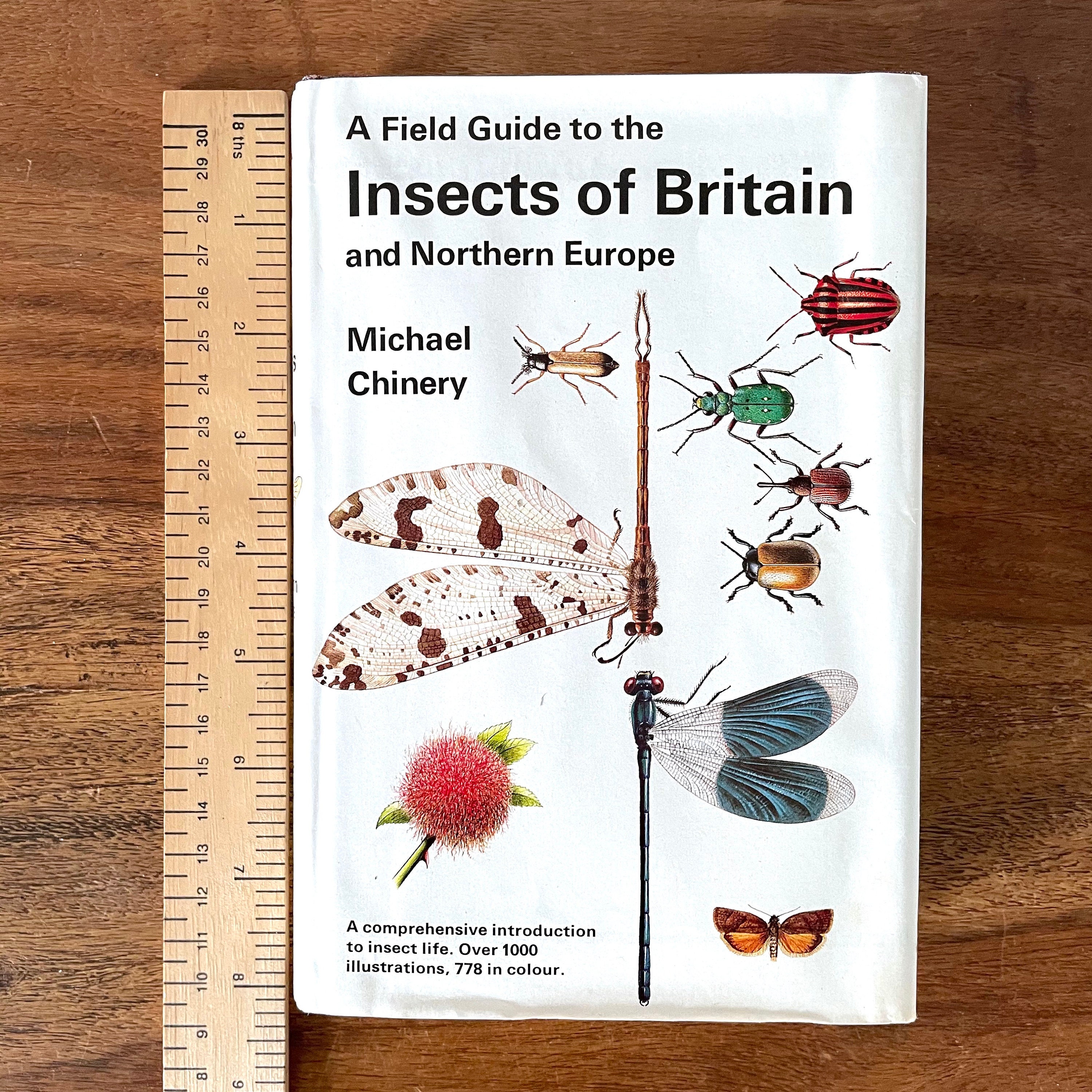 Field Guide to Insects. Vintage First Edition Illustrated | Etsy