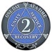 2 Year AA Coin Silver Color Plated Medallion, Recovery Chip, 12 Step ...