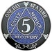 10 Year AA Coin Silver Color Plated Medallion, Recovery Chip, 12 Step ...