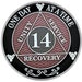 14 Year AA Coin Silver Color Plated Medallion, Recovery Chip, 12 Step ...