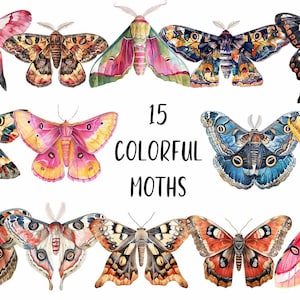 Colorful Moth Butterfly PNG Clipart Sublimation Printable - Etsy