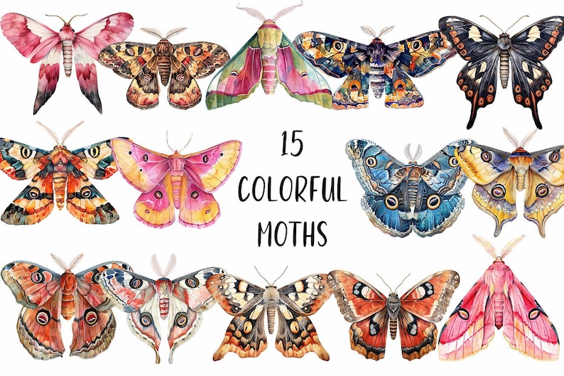 Colorful Moth Butterfly PNG Clipart Sublimation Printable - Etsy