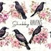 Raven Shabby Goth PNG Clipart Sublimation Printable - Etsy