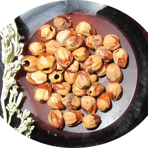 100 Navajo Ghost Beads Cedar Beads Juniper Berries - Etsy