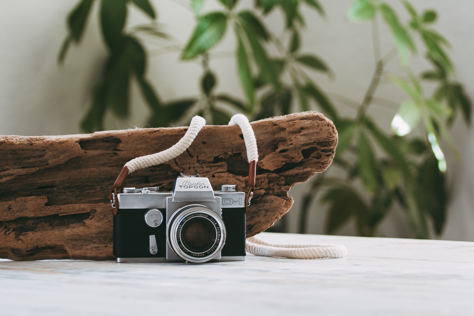 Set of 3, Green Camera Strap, Cream Camera Strap, Black Camera Strap ...