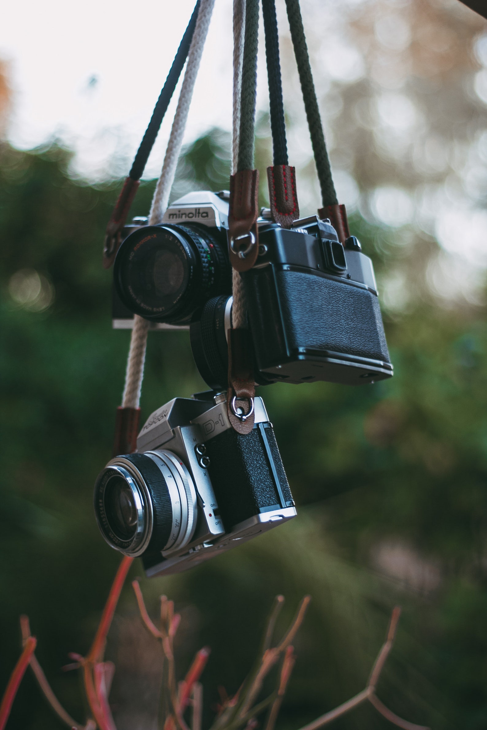 Set of 3, Green Camera Strap, Cream Camera Strap, Black Camera Strap ...