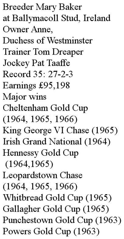 Race Horse Steeplechaser Arkle Picture Pedigree Chart - Etsy