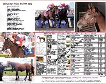 Arabian Horse Bey Shah Picture Pedigree Chart Research | Etsy