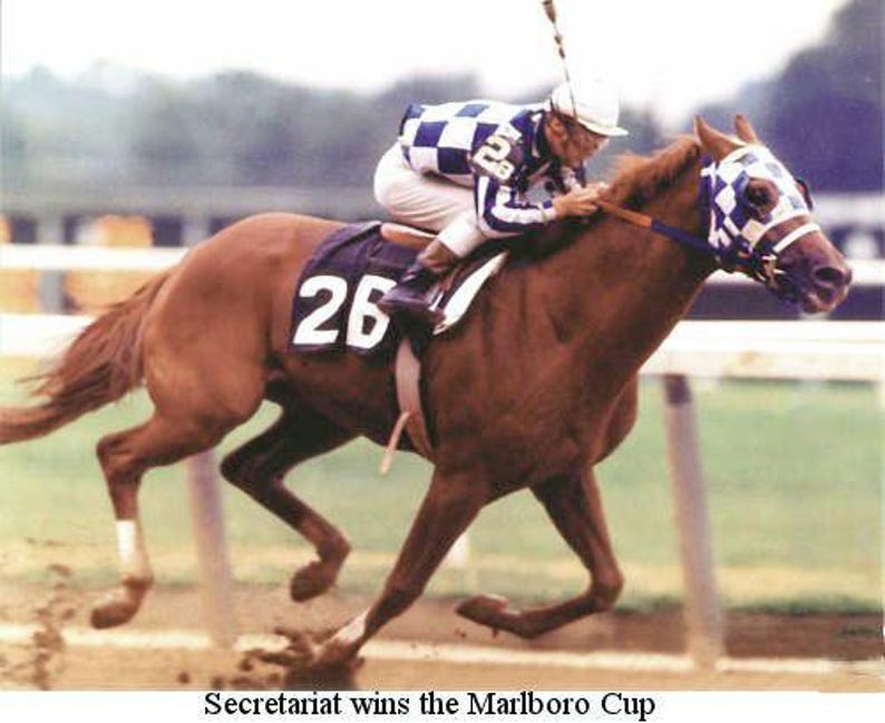 SECRETARIAT Race Horse Racing Picture Pedigree Chart Photo Gift Idea 11 ...