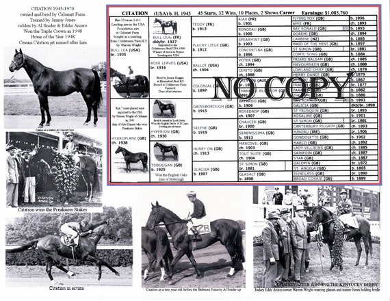 CITATION Triple Crown Race Horse Racing Picture Pedigree Chart - Etsy