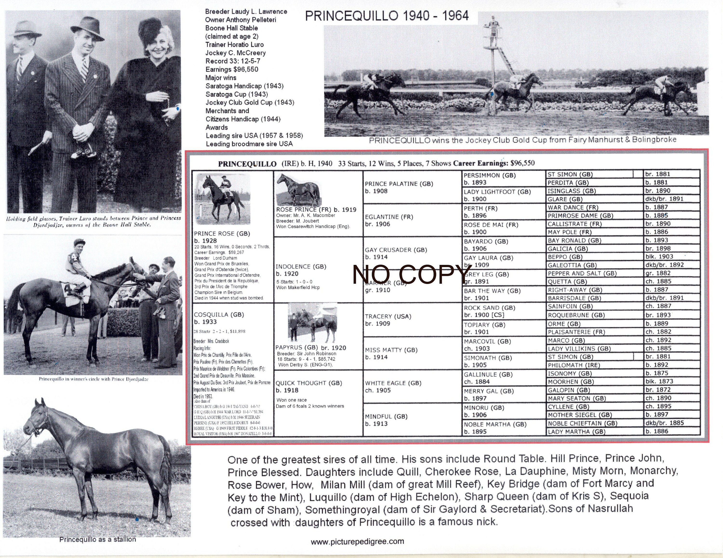 Race Horse Princequillo 8.5 X 11 Picture Pedigree Secretariat Grandsire ...