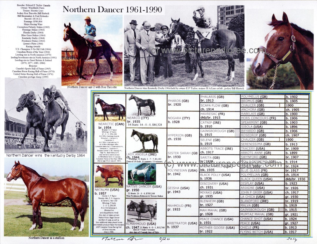 Horse Racing NORTHERN DANCER Picture Pedigree Ronturcotte Bill - Etsy