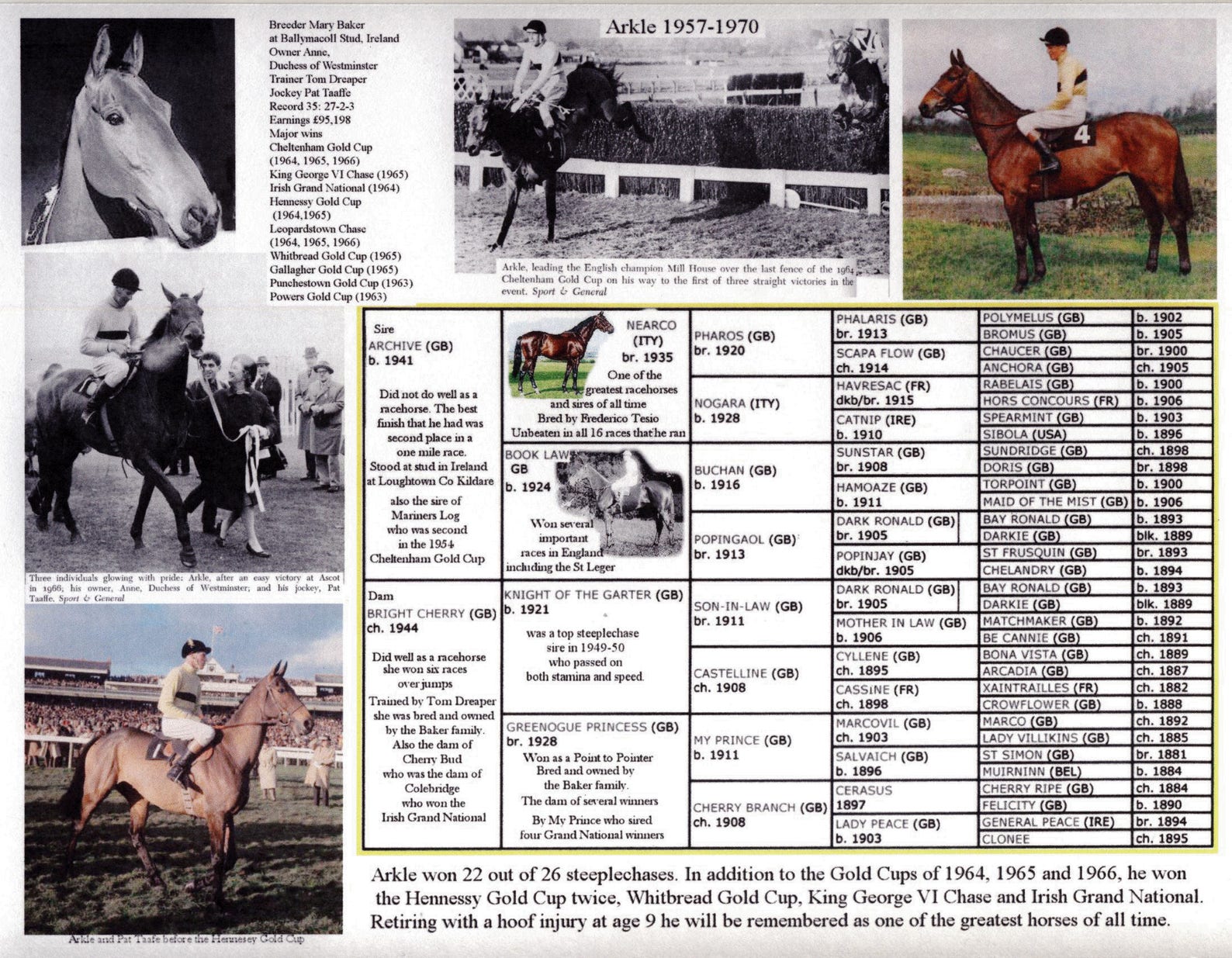 Race Horse Steeplechaser Arkle Picture Pedigree Chart - Etsy