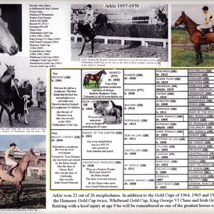 Race Horse Steeplechaser Arkle Picture Pedigree Chart - Etsy