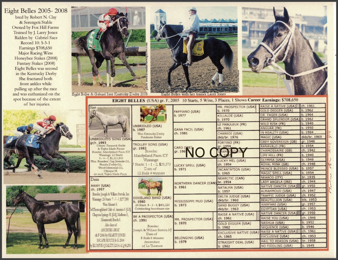 Race Horse Eight Belles Picture Pedigree 11 X 8.5 - Etsy