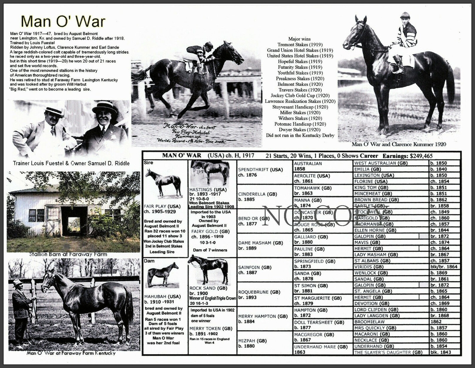 Race Horse MAN O'WAR Picture Pedigree Chart Thoroughbred Racing 11 X 8. ...