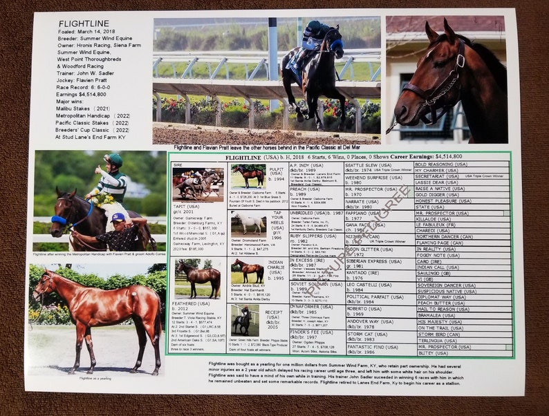 Race Horse Flightline 8.5 by 11 Picture Pedigree - Etsy