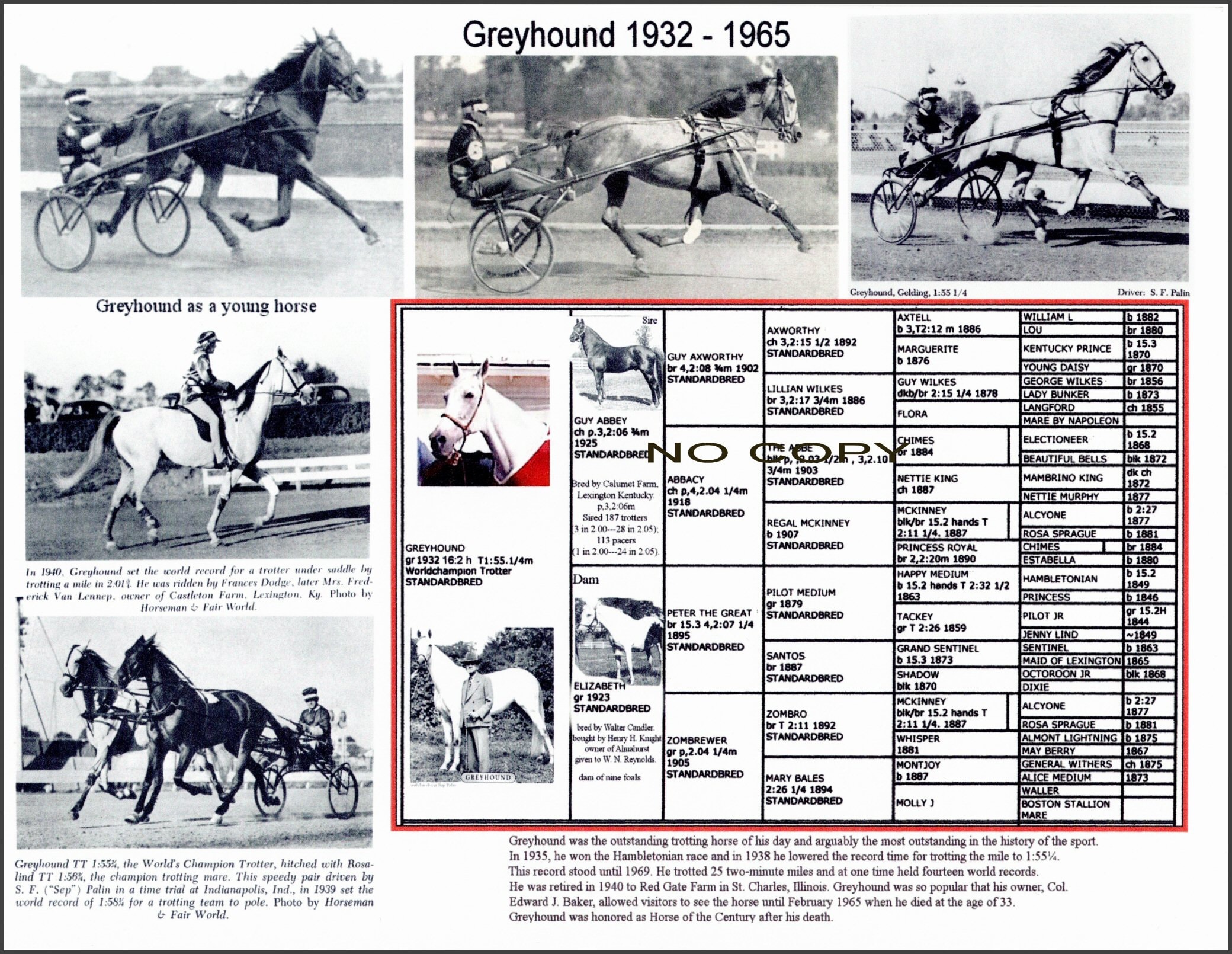 Famous Harness Horse Trotter Legend Greyhound Picture Pedigree - Etsy