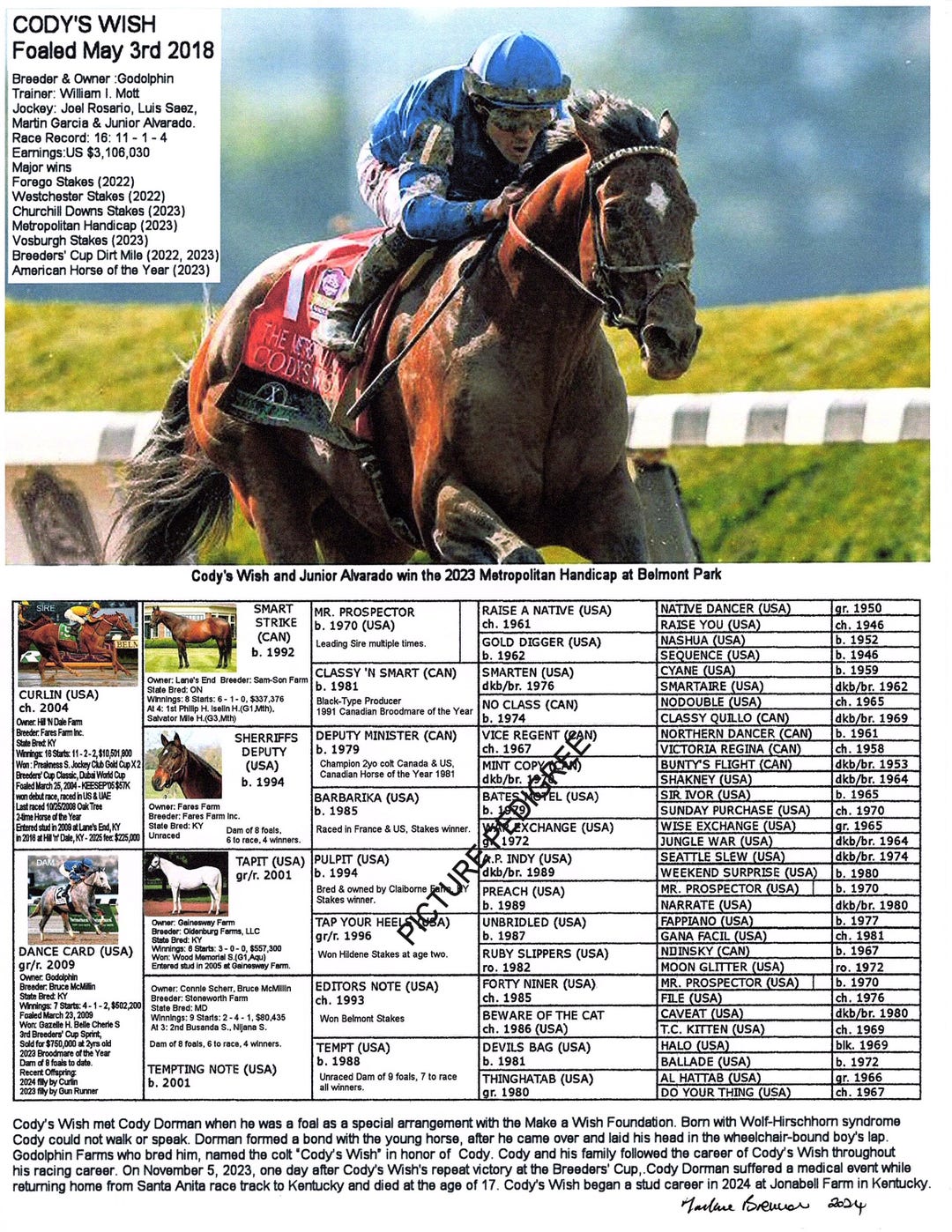 Cody's Wish Race Horse Picture Pedigree 8.5 X 11 Frame Ready Xmas Idea ...