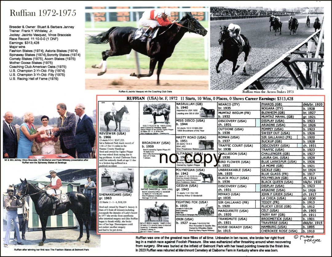 Race Horse Ruffian Picture Pedigree - Etsy