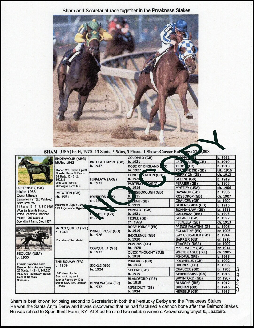 Race Horse SHAM Picture Pedigree Biography 11 by 8.5 Racing Secretariat ...