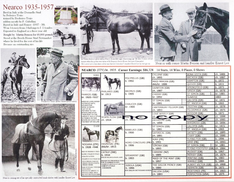 NEARCO Race Horse Racing Picture Pedigree Chart Photo Ready to Frame - Etsy