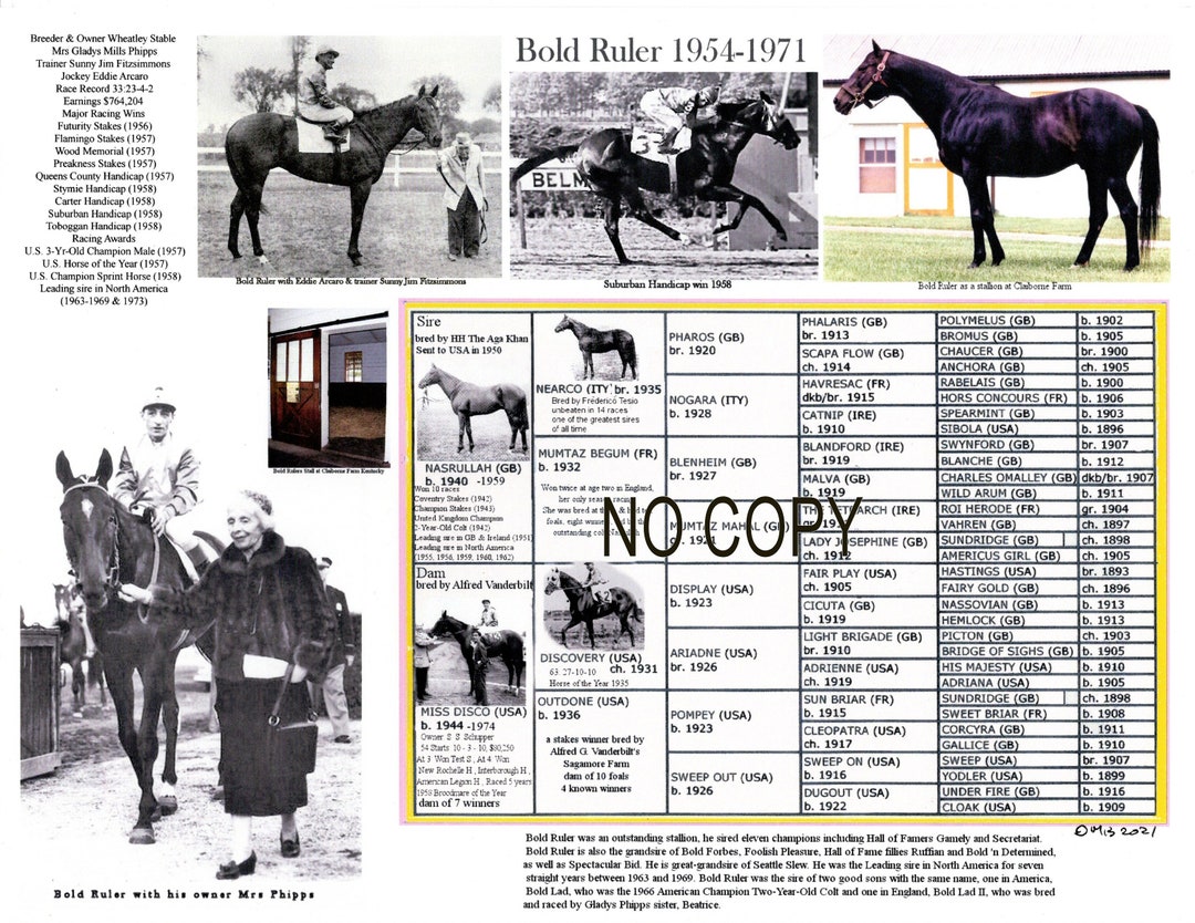 Race Horse Bold Ruler Sire of Secretariat Picture Pedigree 11X 8.5 " - Etsy