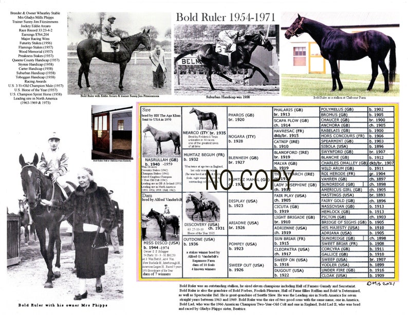 Race Horse Bold Ruler Sire of Secretariat Picture Pedigree 11X 8.5 " - Etsy