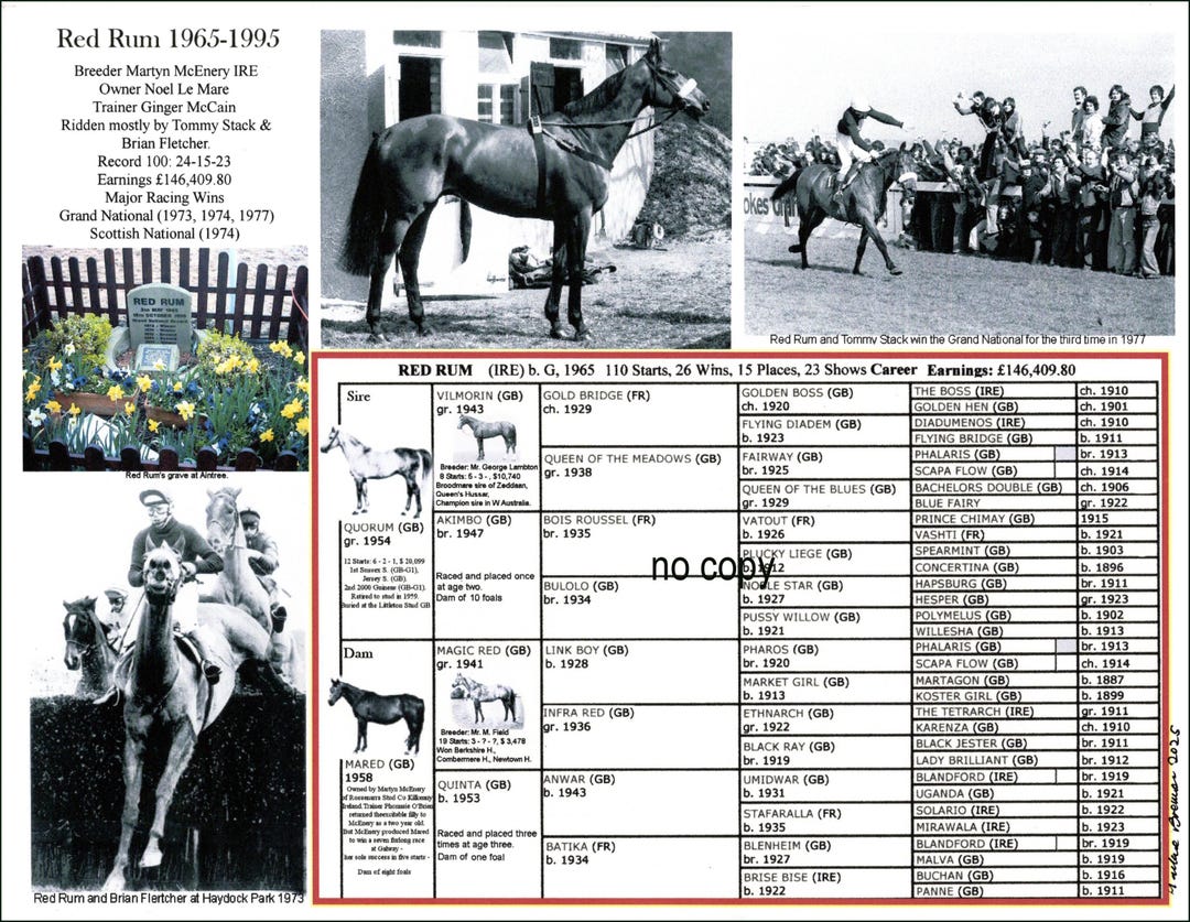 Famous Race Horse Red Rum Grand National Winner X 3 Picture Pedigree ...