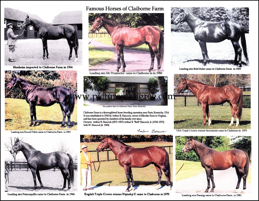 Claiborne Farm Famous Race Horse Breeder Picture Compilation History ...